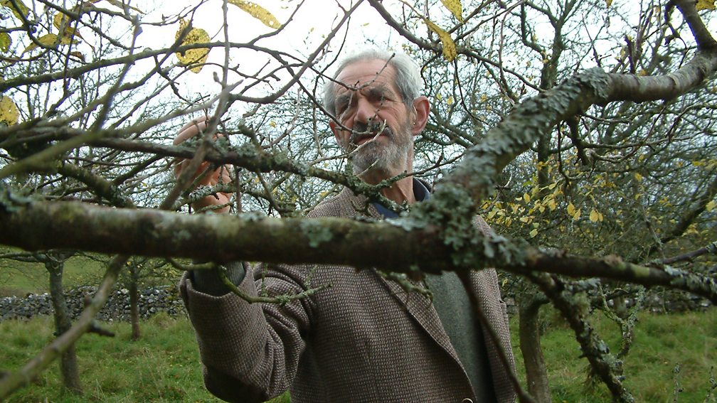 BBC Radio 4 - Gardeners' Question Time, Humshaugh