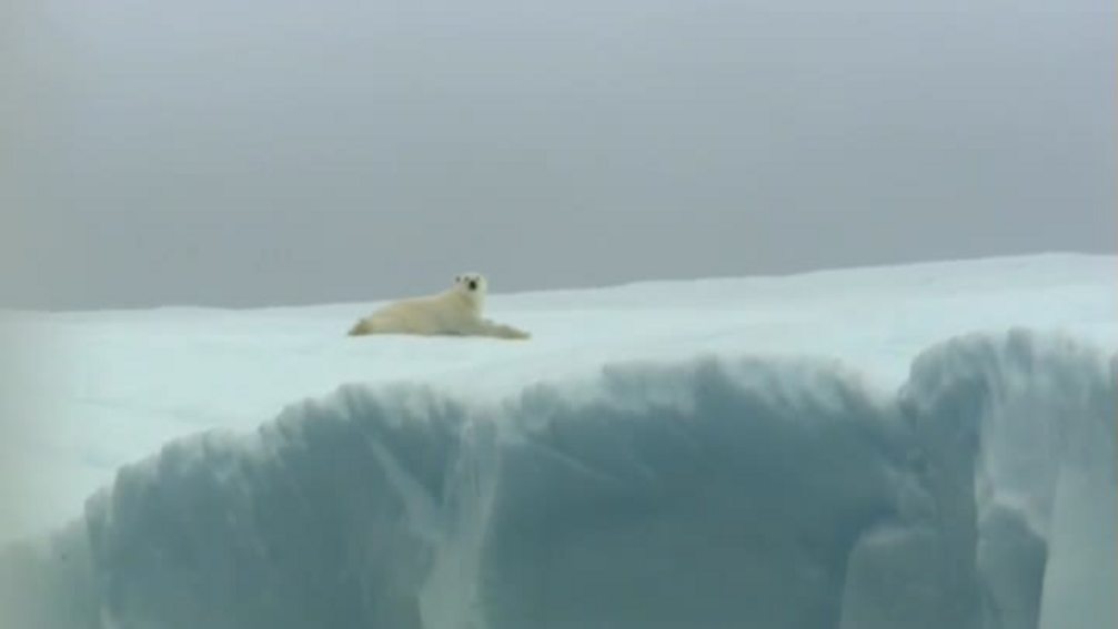 BBC Two - Operation Iceberg, Series 1, Life and Death of a 'Berg, Andy ...