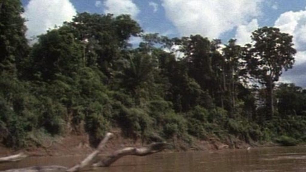 BBC Two - Primary Geography, World Environmental Changes, World ...