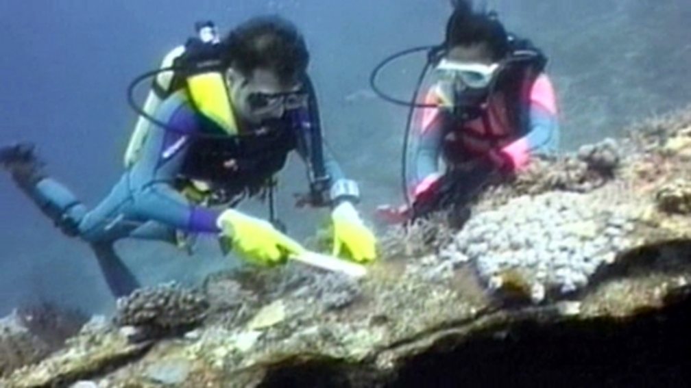 BBC Two - KS1 Science Clips, Sorting with Using Materials - Clips