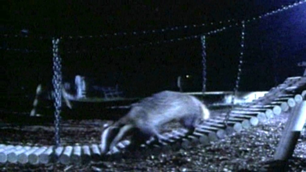 BBC Two - KS1 Science Clips, Light and Dark, Introduction to light ...