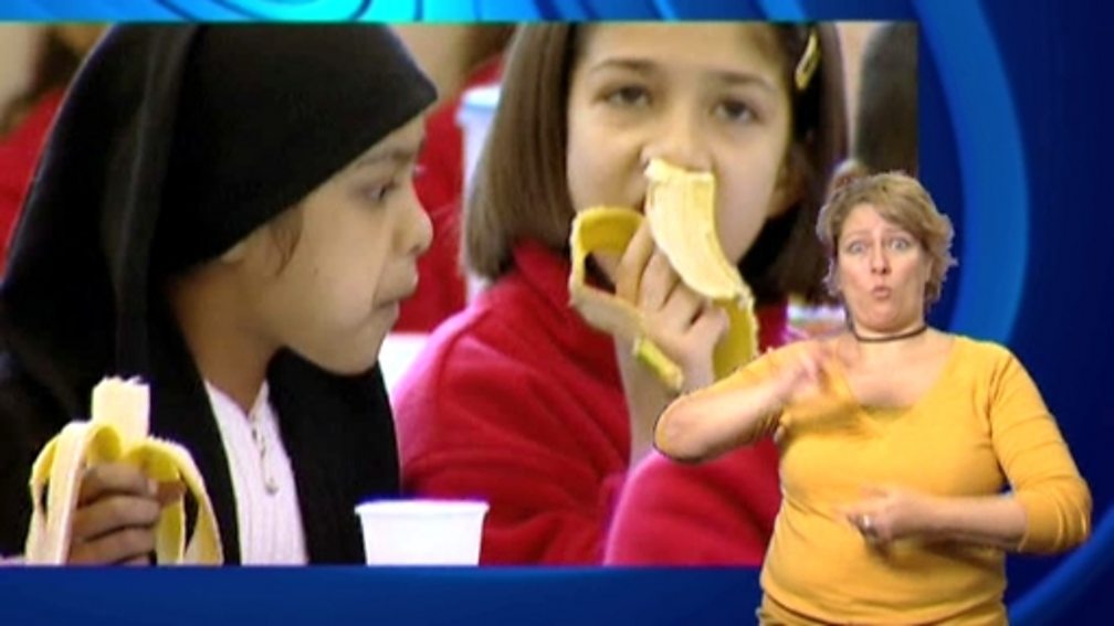 BBC Two - Science Clips Investigates, Keeping Healthy, Edward Jenner ...