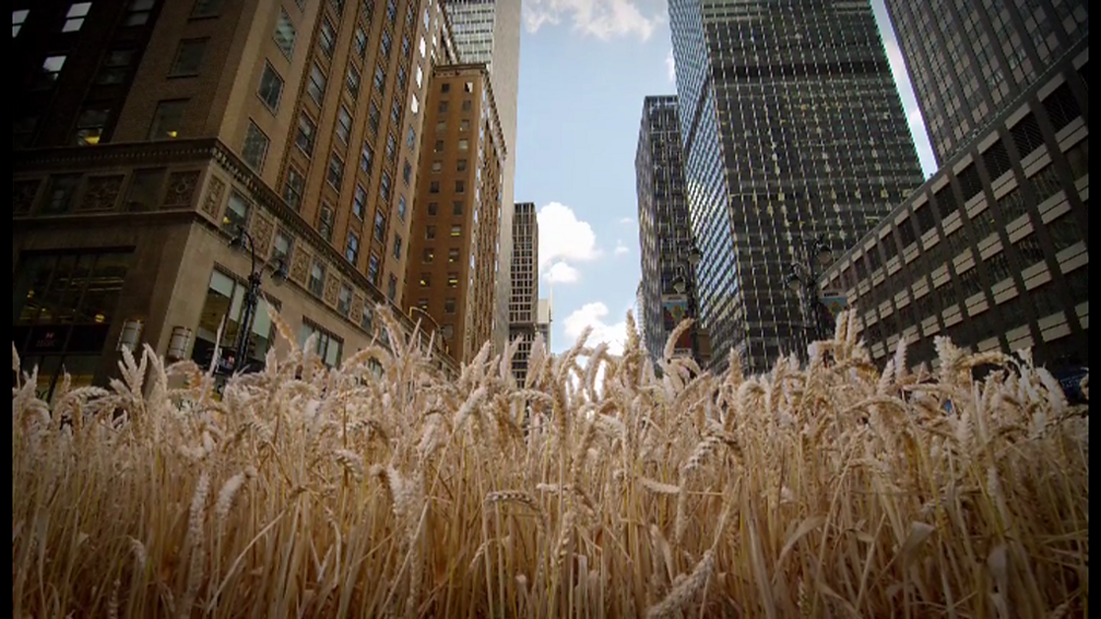 BBC One - Supersized Earth