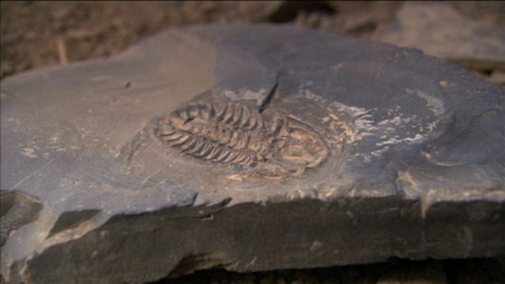 BBC Two - Wonders of the Universe