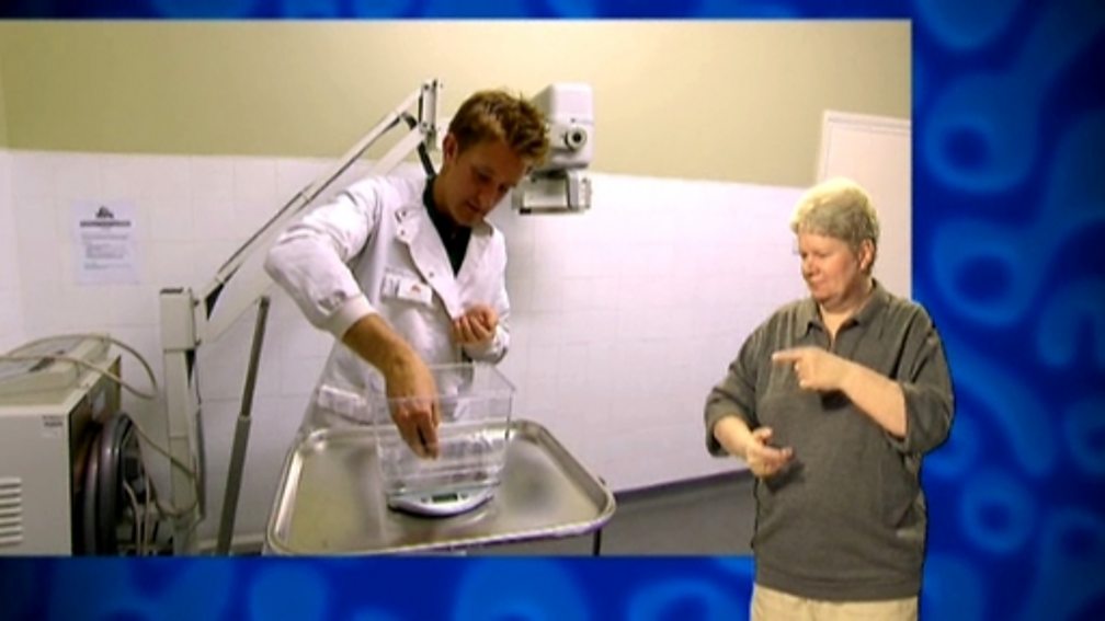 BBC Two - The Maths Channel