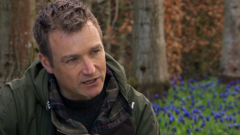 BBC Two - RHS Chelsea Flower Show, 2013, Episode 1, Arthritis and Chris ...