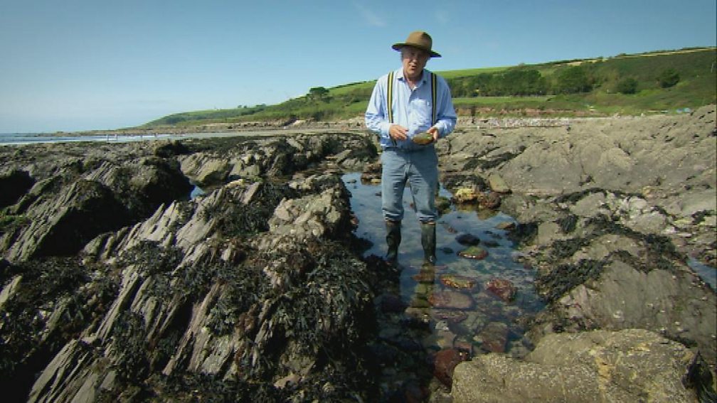 BBC Four - The Secret Life of Rockpools