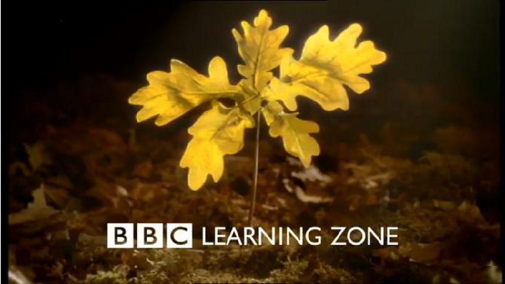 BBC Two - Learning Zone - Features