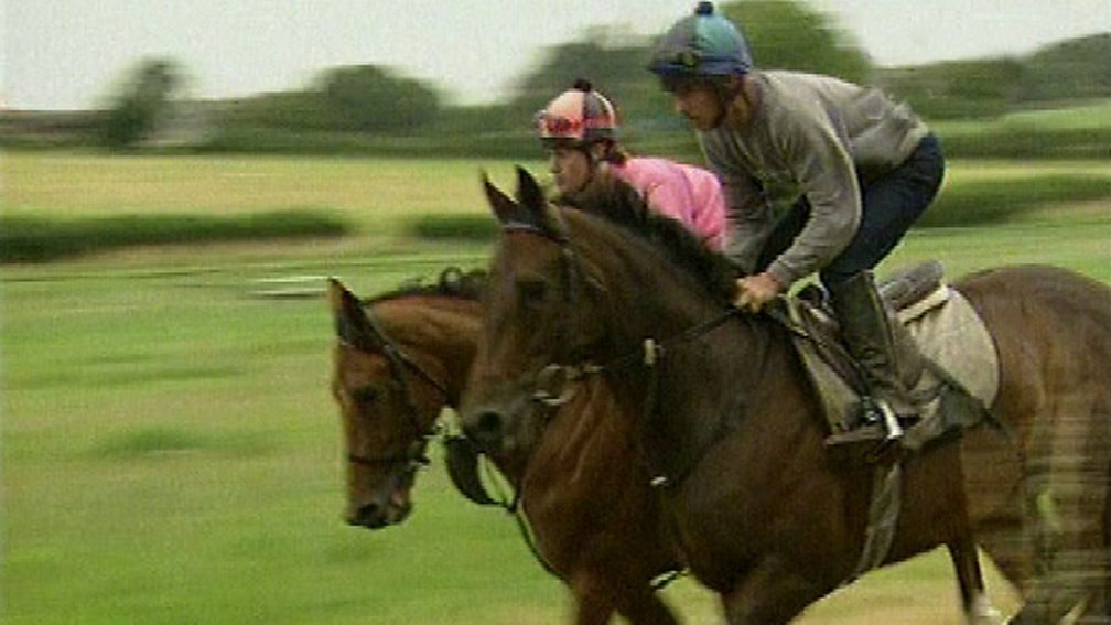 BBC Two - Key Stage Three Bitesize Revision, 28/03/2001, Ciliated ...