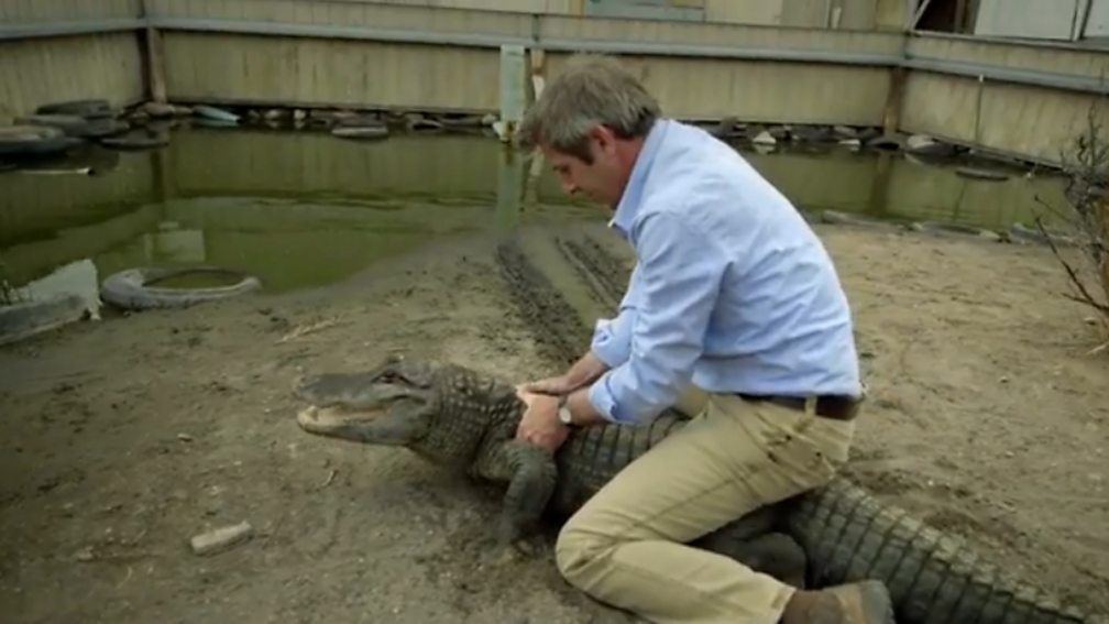 BBC Two - Rise of the Continents - Clips