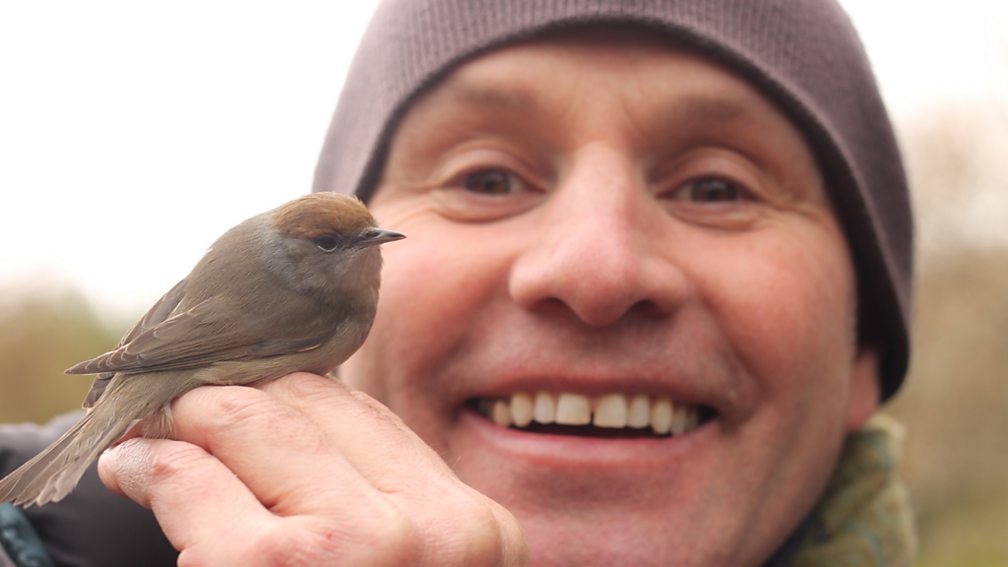 BBC One - Britain's Big Wildlife Revival - The Presenters