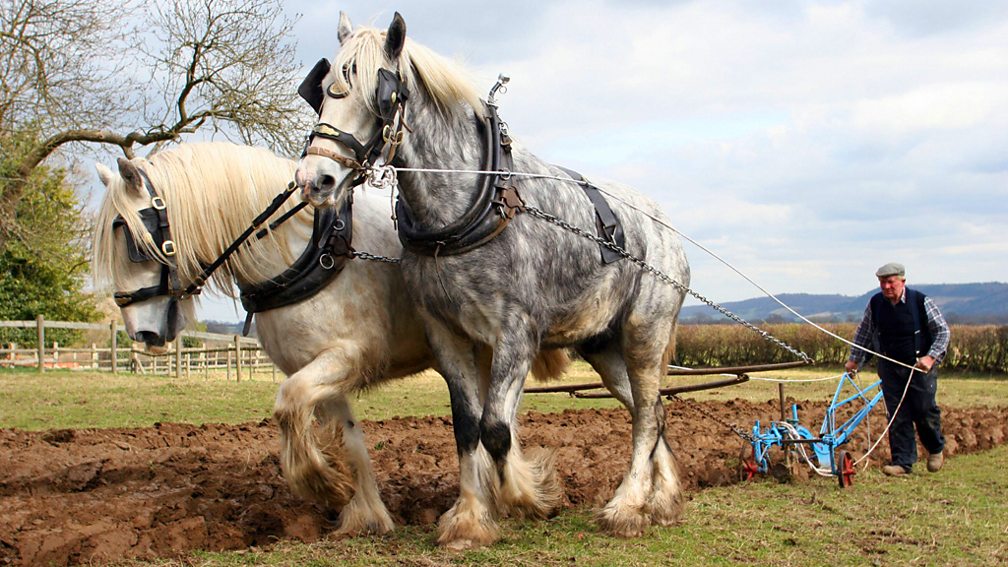 BBC Two - Victorian Farm - Episode guide