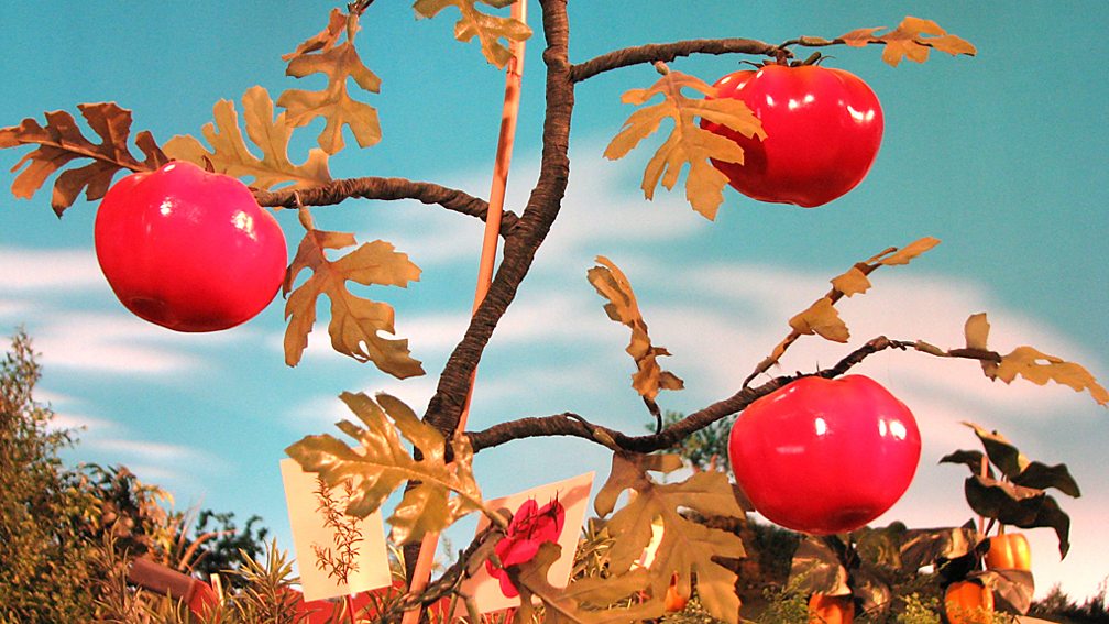 CBeebies - Schedules, Saturday 1 January 2011