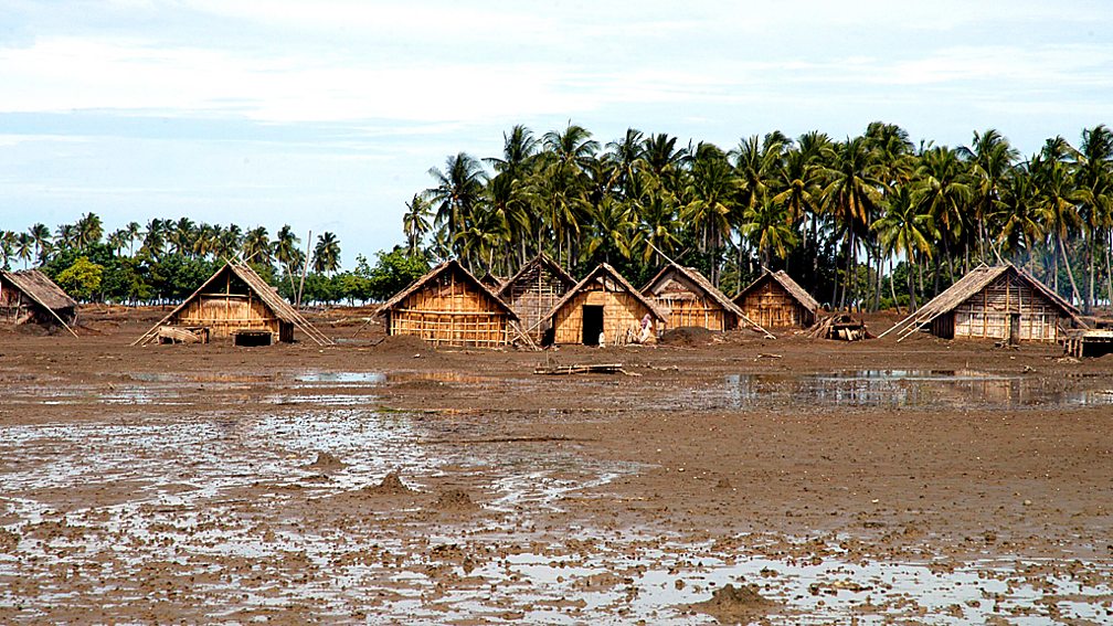 BBC Four - 10 Things You Didn't Know About..., Tsunamis, The tsunami ...