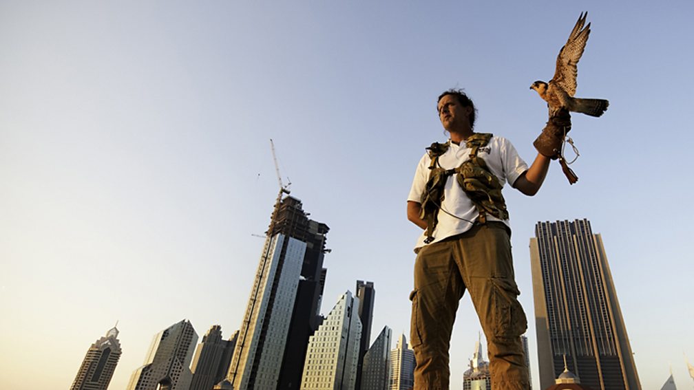 BBC One - Human Planet - Episode guide