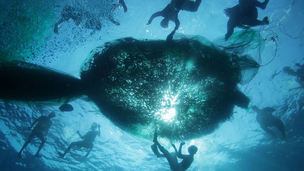 BBC One - Human Planet - Episode guide