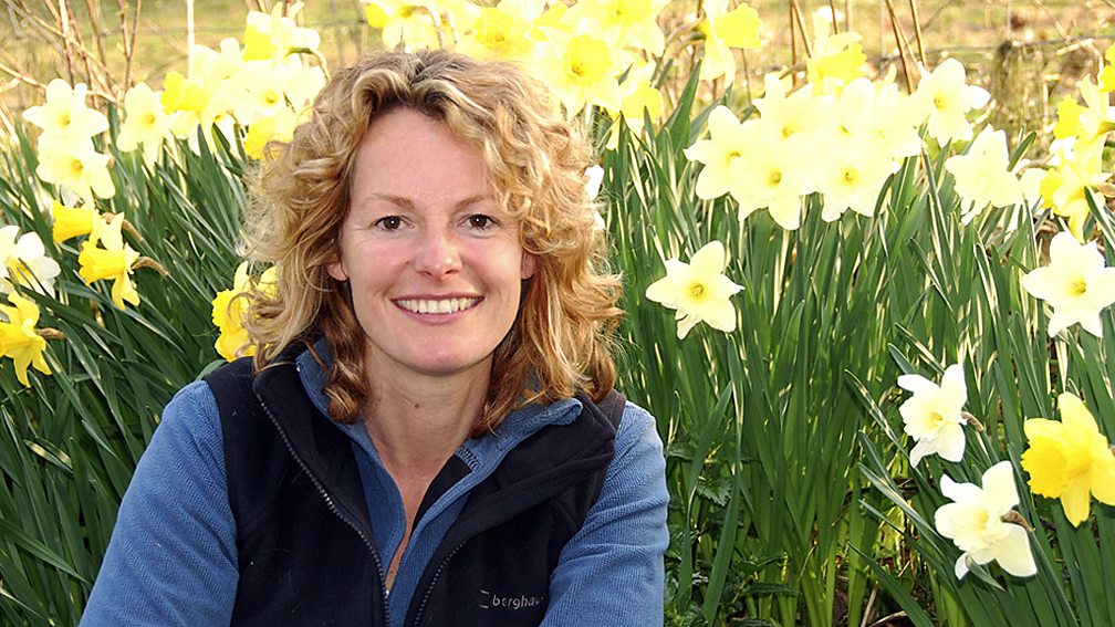 BBC Two - Springwatch - Episode guide