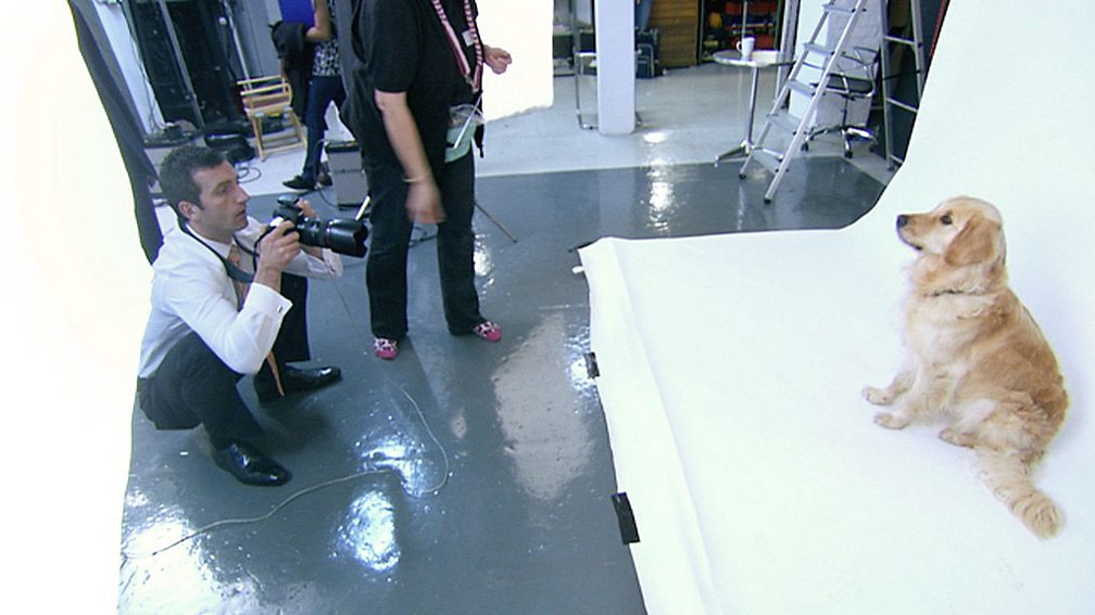 BBC One - The Apprentice, Series 7 - Episode guide