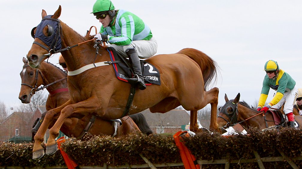 BBC Radio 5 live - 5 Live Sport, A Different Breed - The Life of a Jump ...