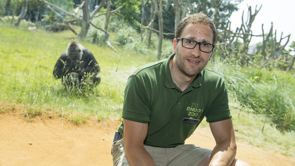 BBC Radio 3 - Night Waves, Night Waves at ZSL London Zoo, Matthew Sweet ...