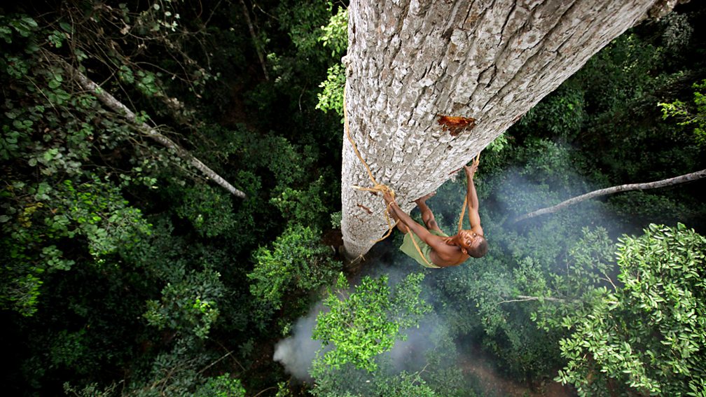 BBC One - Human Planet