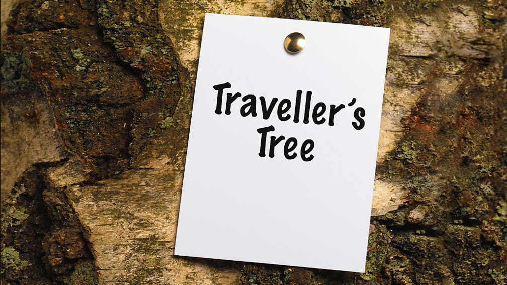 BBC - Programmes categorised as Factual: Travel - All Programmes