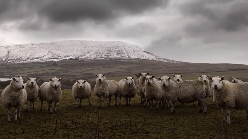 BBC - Programmes categorised as Factual: Science & Nature - All Programmes