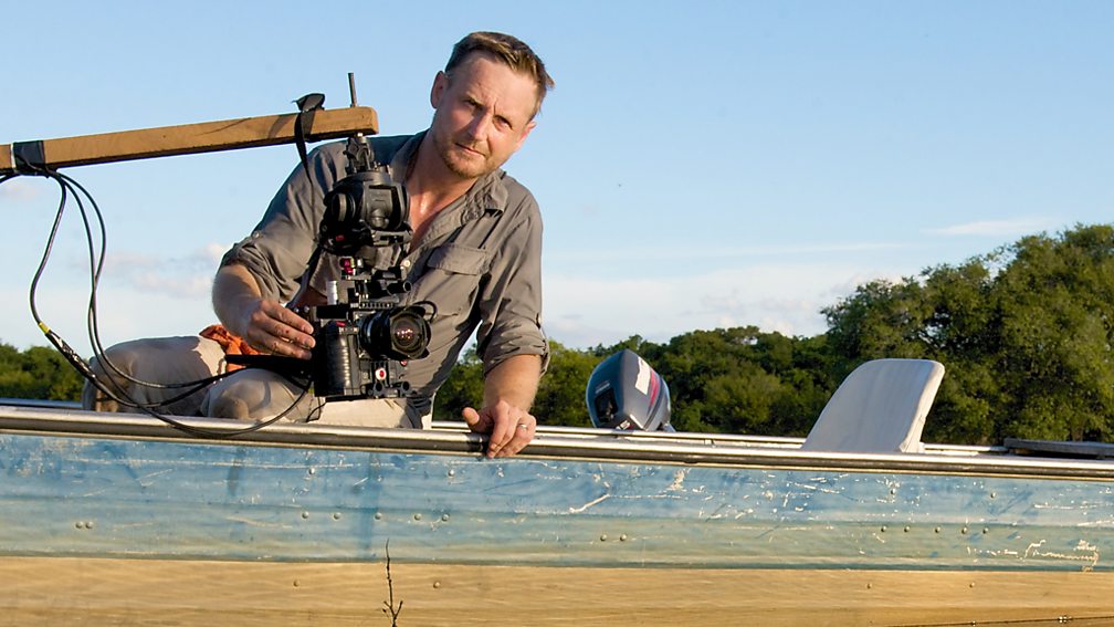 BBC Two - Wild Brazil