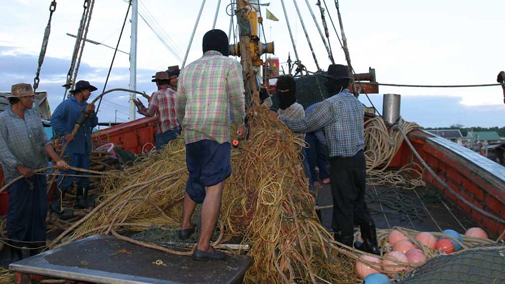 BBC World Service - The Documentary, Thailand’s Slave Fishermen, Modern ...