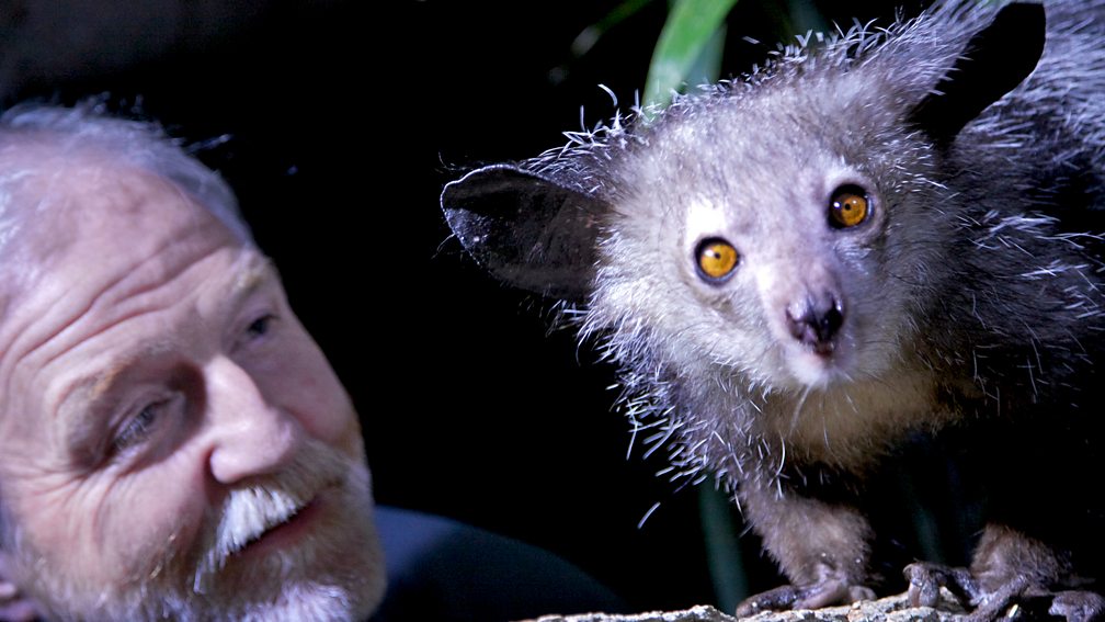 BBC One - Monkey Planet - Episode guide