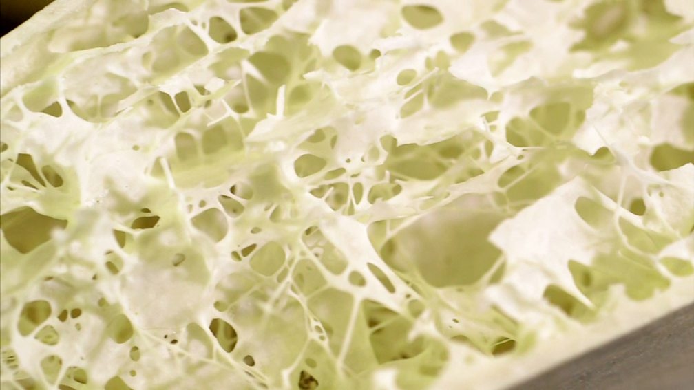 BBC Four - Secrets of Bones, Into the Air, Inside an ostrich bone