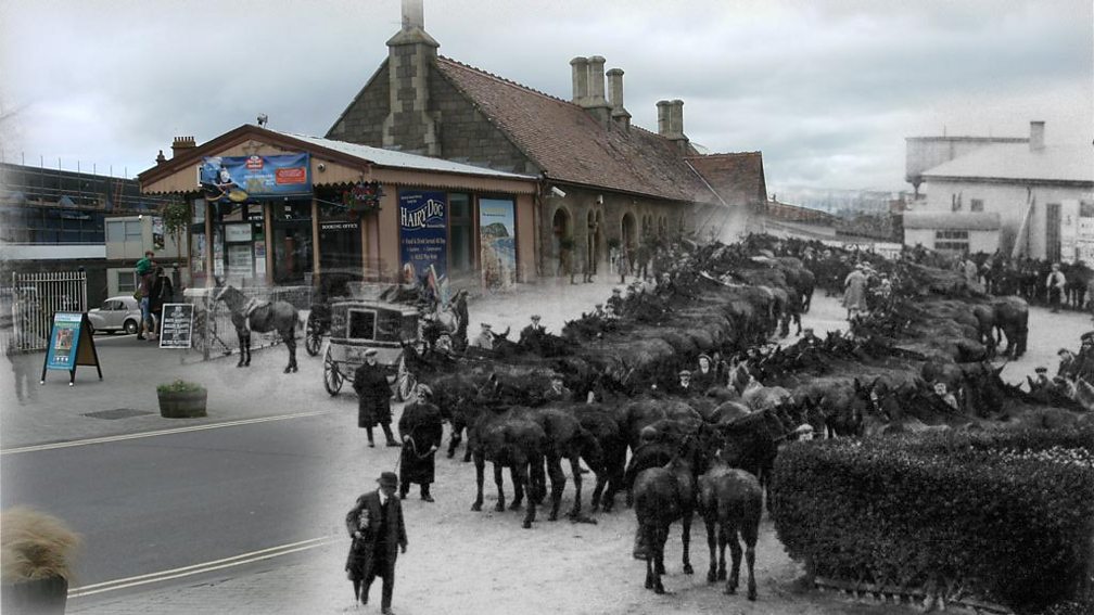 BBC - World War One At Home, Gournay Court, Somerset: Remembering a ...