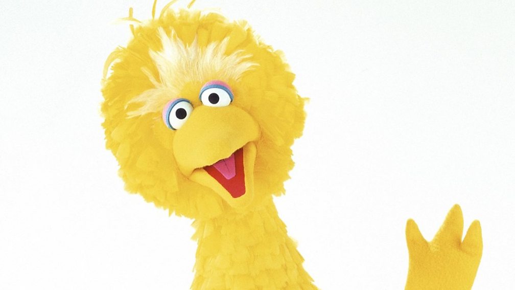 BBC Radio 4 - Tweet of the Day, Big Bird