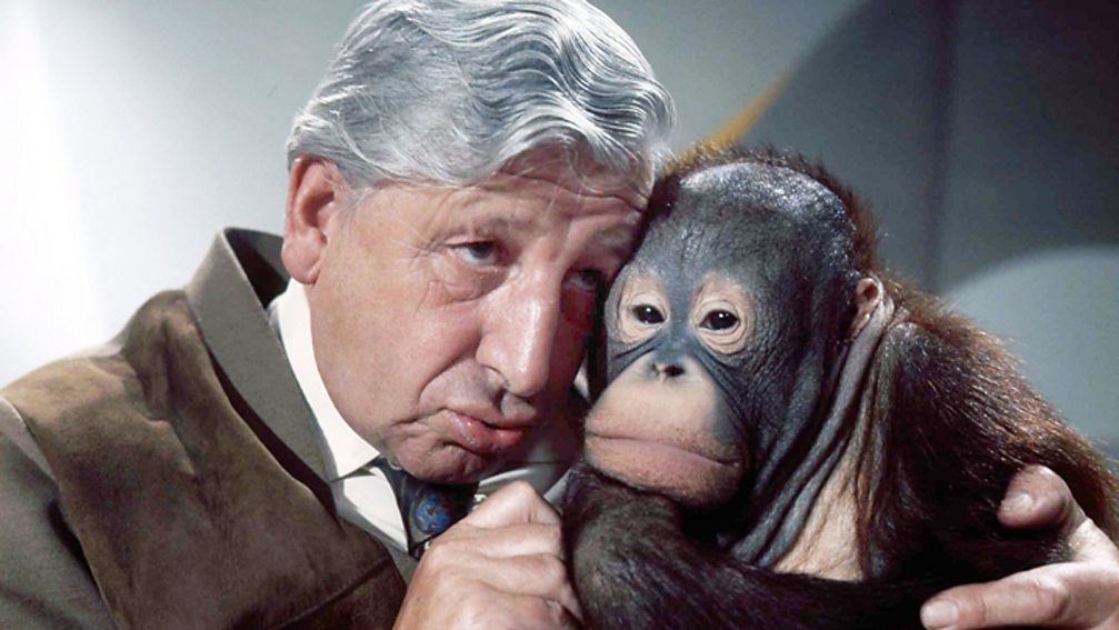 BBC - History of the BBC, Animal Magic 13 April 1962