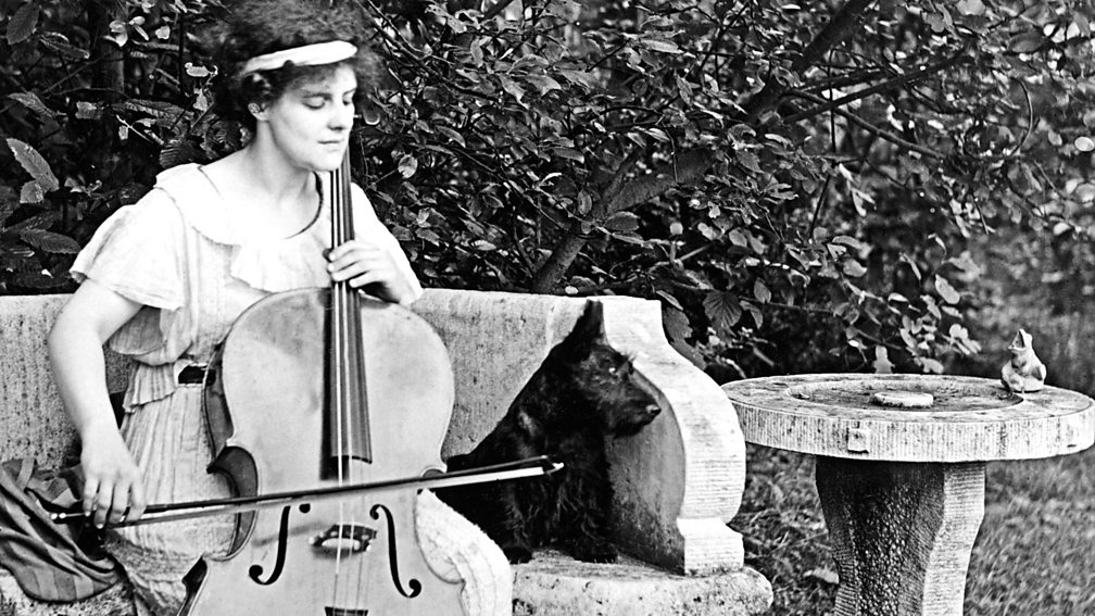 BBC Radio 3 - Late Junction, Verity Sharp with Nightingale Duets, How ...