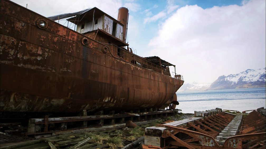 BBC Four - Britain's Whale Hunters: The Untold Story