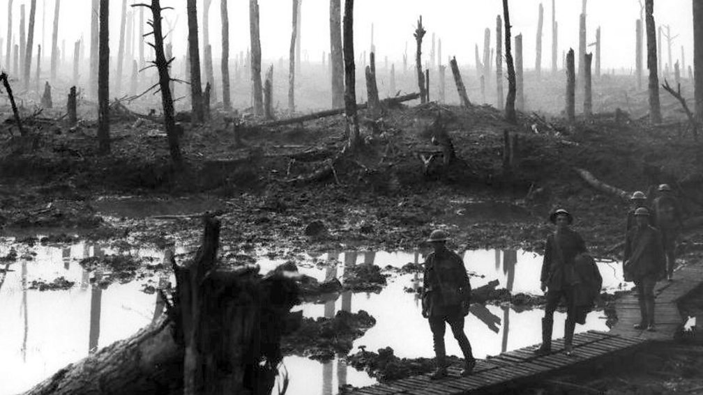 BBC Radio 4 - Free Thinking, Wood and Trees: War and Remembrance