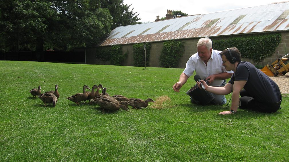 BBC Radio Norfolk - Matthew Gudgin - High Ash Farm