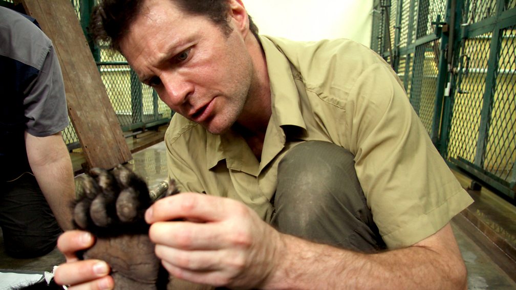 BBC One - Operation Wild - Episode guide