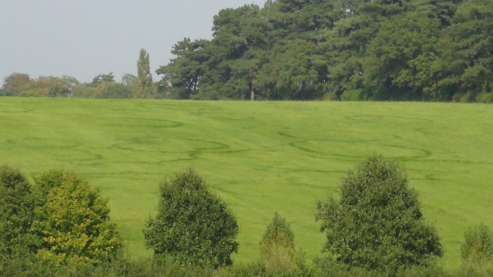 BBC Radio Norfolk - Matthew Gudgin - High Ash Farm