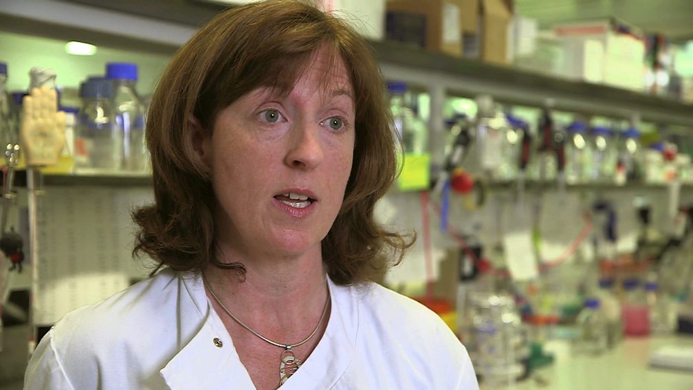 BBC Two - Trust Me, I'm a Doctor, Series 1 - Will cracking my knuckles ...