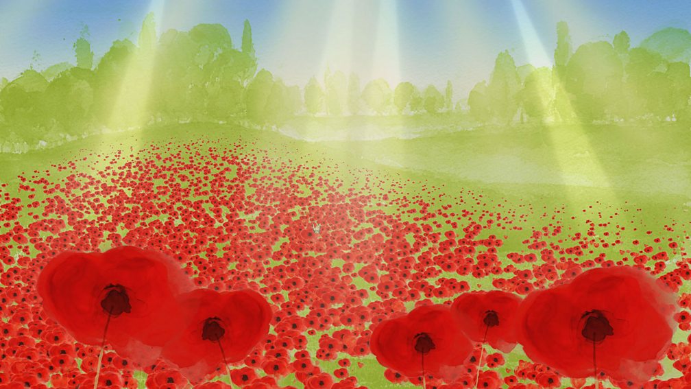 Remembrance Day film for kids - CBeebies