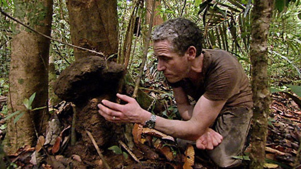 BBC One - Lost Land of the Volcano