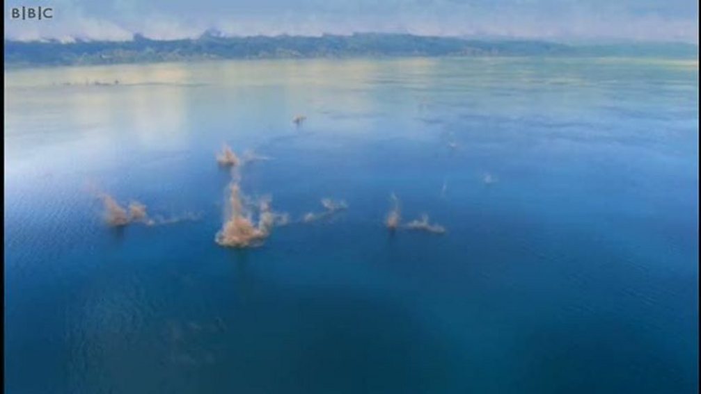 BBC Two - The Great Rift: Africa's Wild Heart, Water, Ocean giants