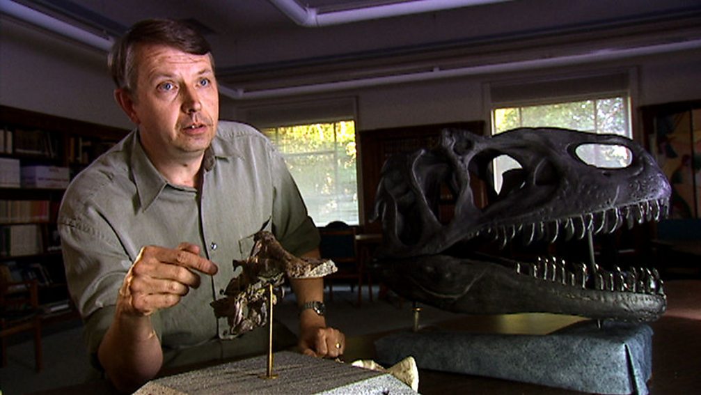 BBC One - Walking with Dinosaurs (1999), Big Al, Big Al Uncovered ...