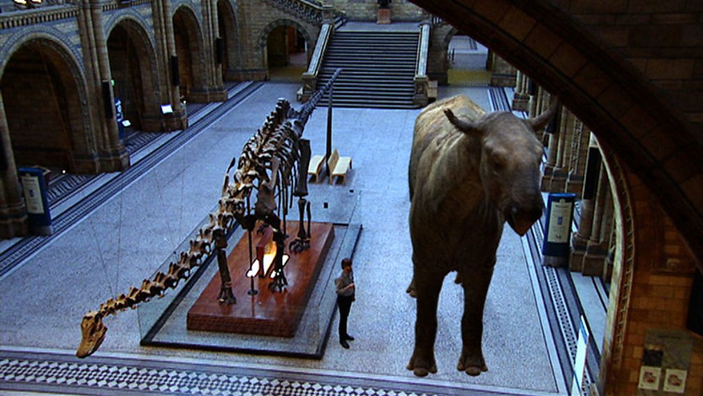 BBC One - Walking with Beasts