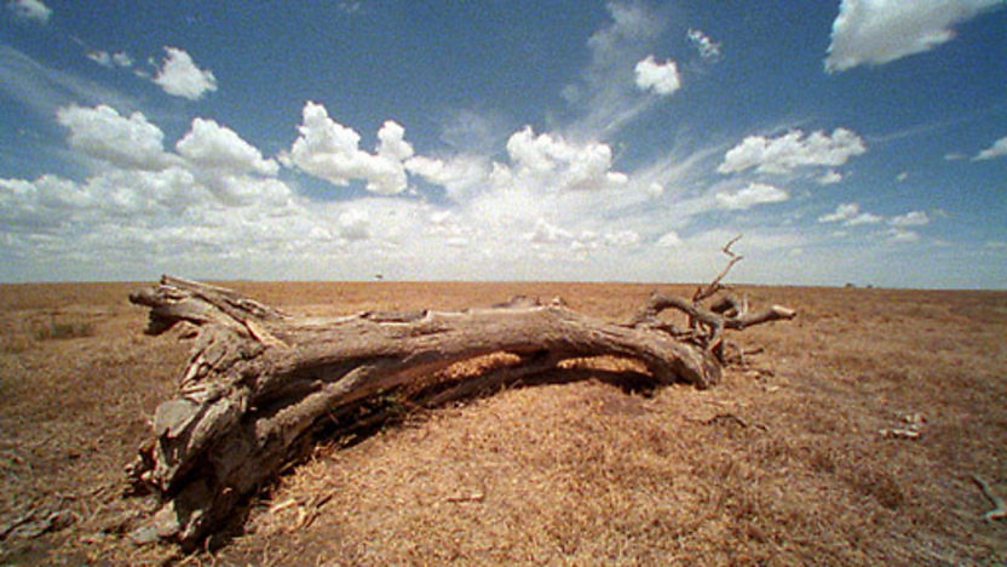 BBC Two - Wild Africa, Savannah, Savannah life