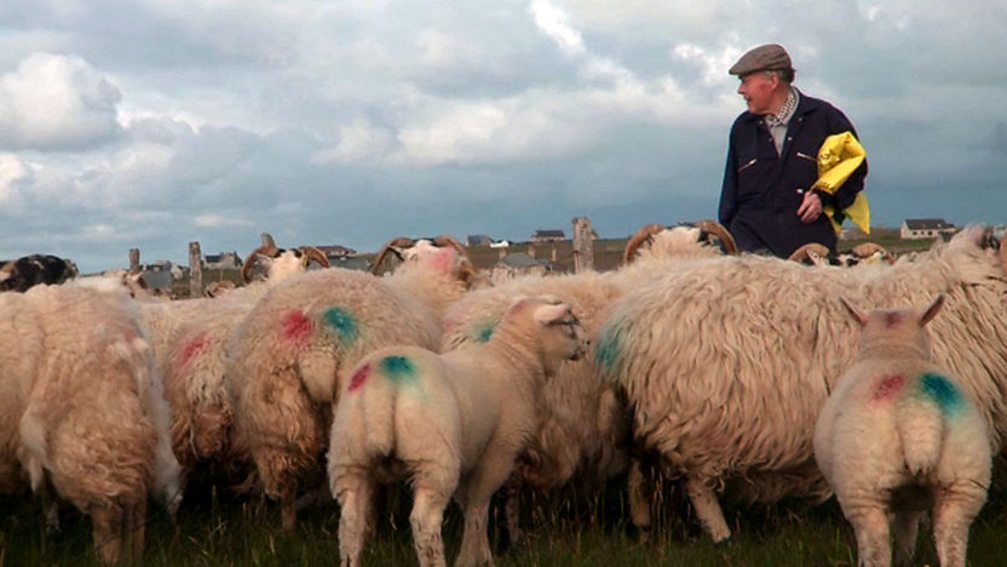 BBC Two - The Guga Hunters of Ness