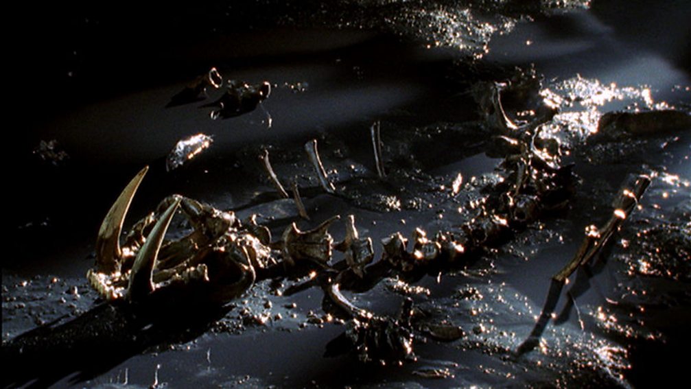 BBC Two - Wild New World