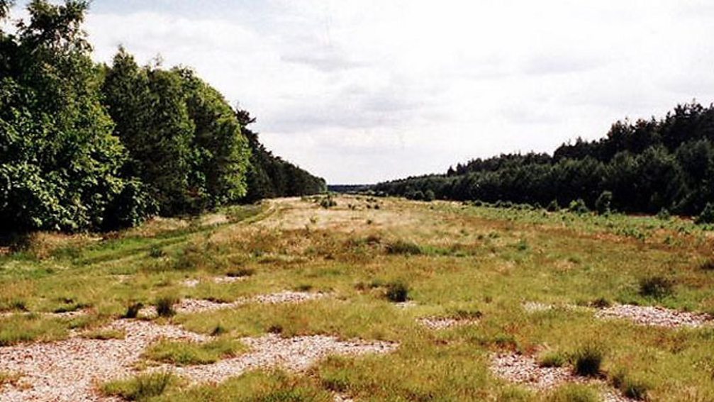 BBC Radio 4 - 15 Minute Drama, Writing the Century: A Paintbrush Reporter